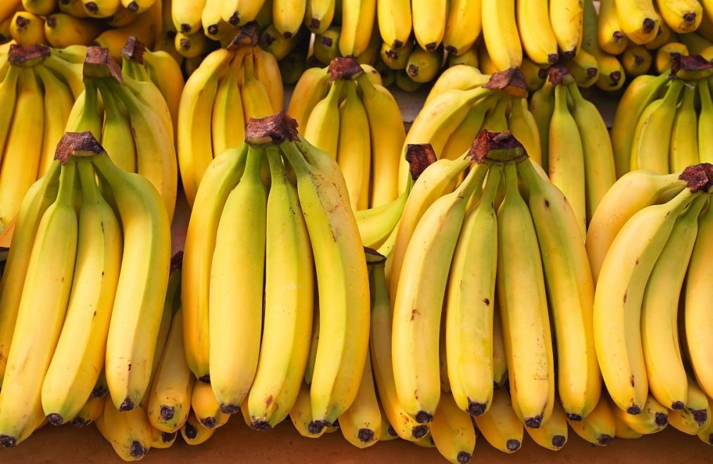 El país lidera exportación de banano orgánico - Por la Línea