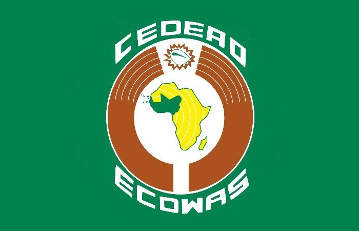 Fuerza de reacción rápida