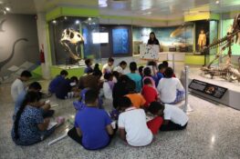 Descubre La Neverita en el río Nizao - Por la Línea